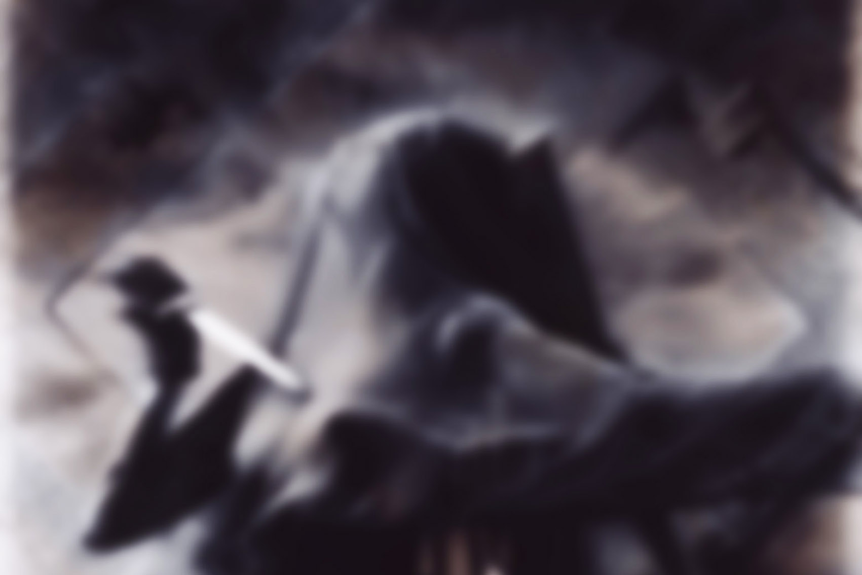 Andrés Ferrer Photography – Andrés Ferrer Photography